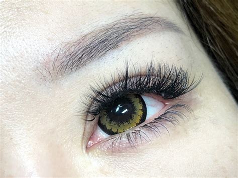 Eyelash Extensions Jpro Beauty Browlashnail