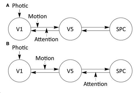 Figure 1 From Assessing Parameter Identifiability For Dynamic Causal