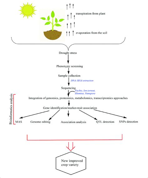 Schematic Representation Of Drought Assessment Download Scientific Diagram