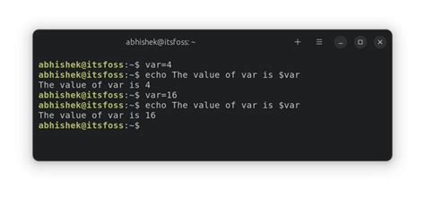 Bash Basics Use Variables In Bash Scripts