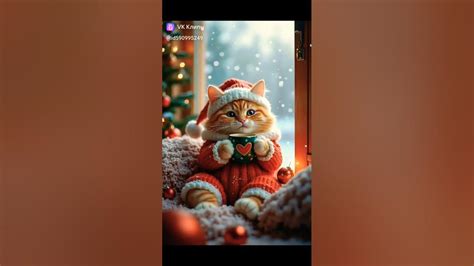 С наступающим Новым годом😀🎉🎉 Cat котэ котики котки Catlover любовь котка кот котик