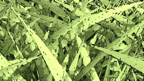 3d Modeled Grass Field Turbosquid 1665533