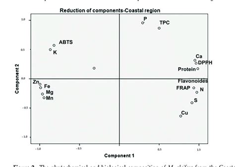 The Phytochemical And Biological Composition Of M Oleifera From The