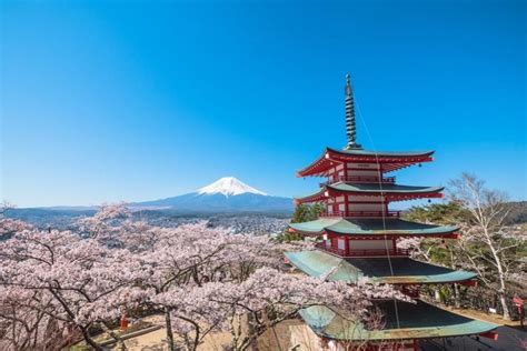 Tempat Terpopuler Melihat Bunga Sakura Di Jepang Blibli Friends