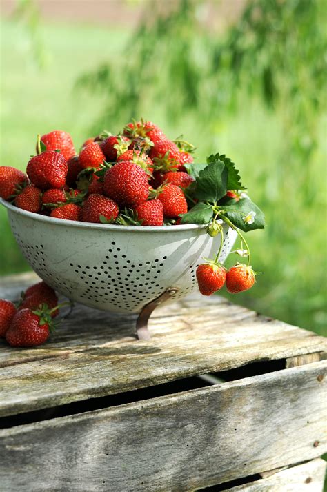100 Fotos De Fresas Descargar Imágenes Gratis En Unsplash