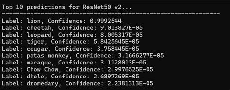 Onnx Runtime入门示例：在c中使用resnet50v2进行图像识别resnet50 V2 7onnx Csdn博客