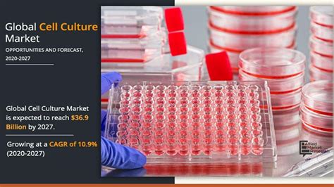 What Is Cell Culture Presentation Free To Download