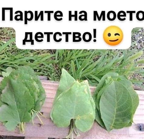 Daniel Dimitrov On Linkedin Ползвали ли сте такава валута на млади години…🤔