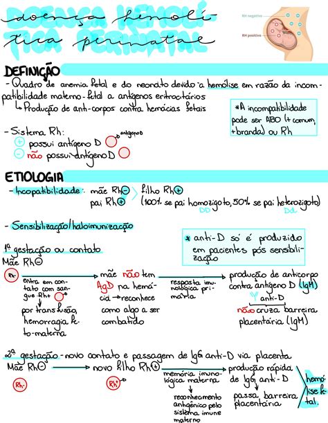 SOLUTION Doença Hemolítica Perinatal Eritroblastose fetal Studypool
