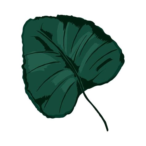 Exotic Leaf Icon Vector Art At Vecteezy