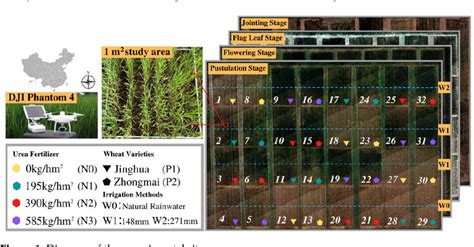 Figure 1 From Uav Remote Sensing Prediction Method Of Winter Wheat Yield Based On The Fused