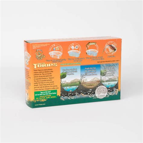Triassic Triops Hatchery Kit