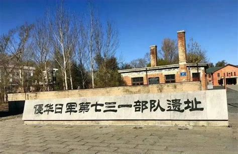 电影〈731〉预告震撼发布，揭黑暗历史引发深思 其他文化娱乐 什么值得买