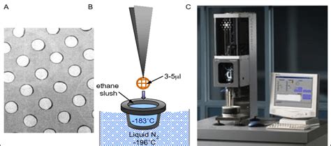 Quantifoil® Holey Carbon Films Delta Microscopies