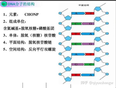 巯基修饰DNA纳米金复合物 DNAAuNP 实验要求 知乎