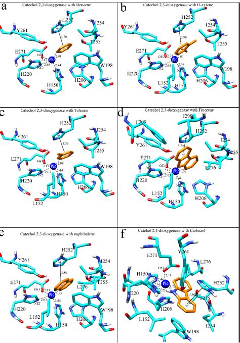 The Molecular Interaction Of Substrate With Catechol2 3 Dioxygenase Download Scientific