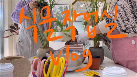 식물 작업실 연말 브이로그 Youtube