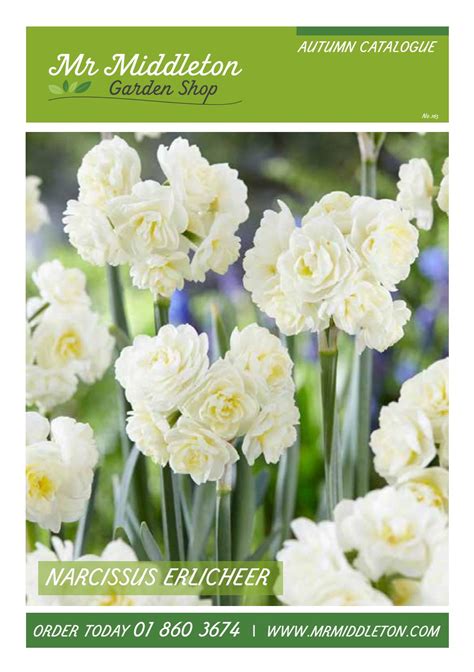 Mr Middleton Garden Shop Autumn Catalogue By Mr Middleton Garden Shop Issuu