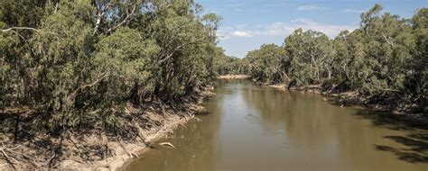 Murray Darling Conservation Alliance Welcomes New Environment And Water Minister And Urges Labor