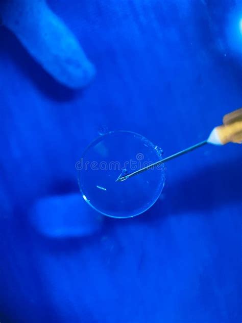 Microinjection Into Egg Cell Under Microscope Stock Image Image Of Molecular Embryology