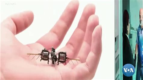 ဗွီအိုအေ မြန်မာညချမ်း ဖေဖော်ဝါရီ ၂၊ ၂၀၂၅ Youtube