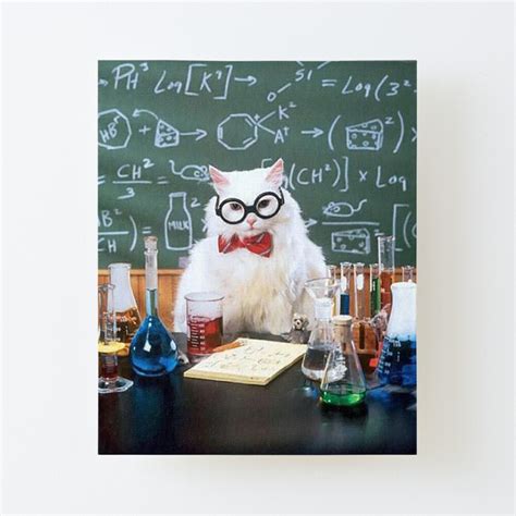 Science Cat Meme