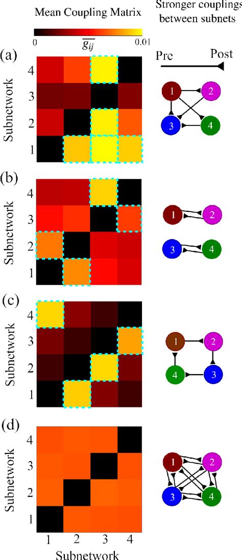 Figure 1 From Plastic Neural Network With Transmission Delays Promotes Equivalence Between