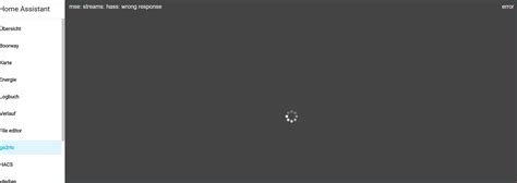 Realtime Camera Streaming Without Any Delay Webrtc Page 37 Share Your Projects Home