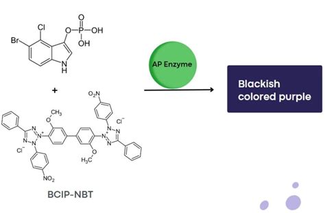 Chromogenic Substrates Overview Dc Fine