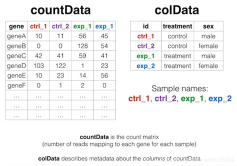 Rna Seq5 筛选差异表达基因并注释 学习笔记 Csdn博客