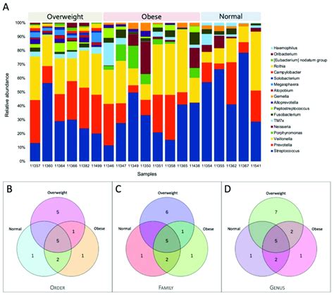 Core Microbiome Structure A Bar Plot Showing The Relative Abundance