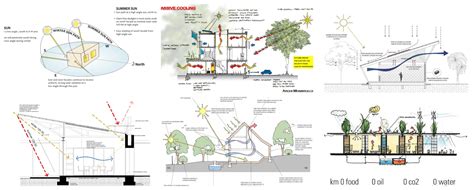 How Well Do Passive Design Strategies Reduce Carbon Footprint