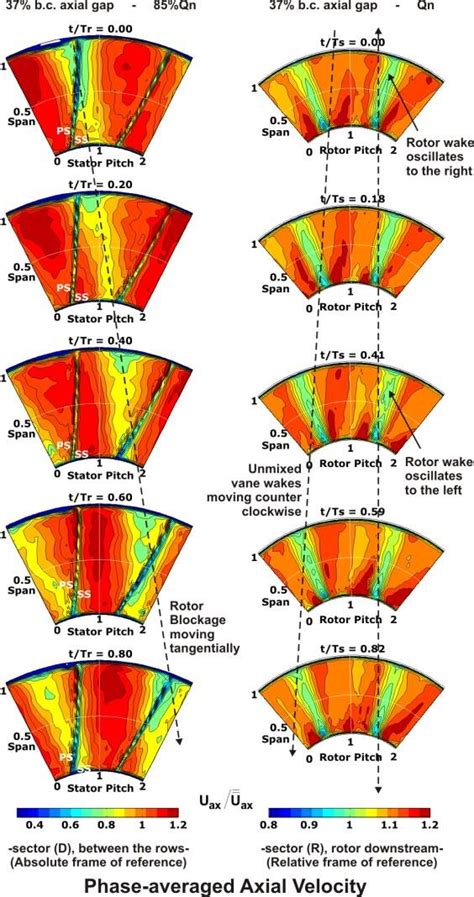 Numerical Unsteady Velocities Download Scientific Diagram