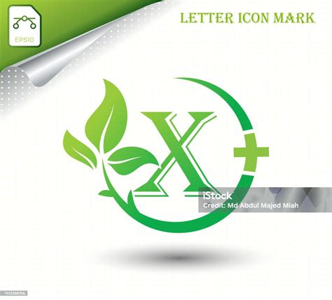 녹색 잎 벡터 템플릿이 있는 문자 X 0명에 대한 스톡 벡터 아트 및 기타 이미지 0명 개념 개념과 주제 Istock