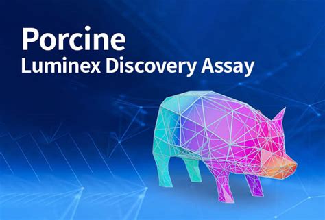 Multiplex Porcine Luminex Discovery Assay Multiplex Kit 2 Labis Koma