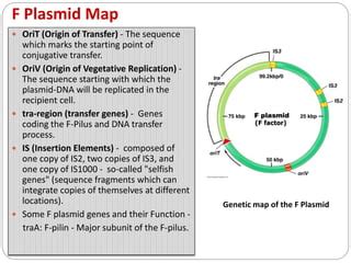 F Plasmid PPT PPTX