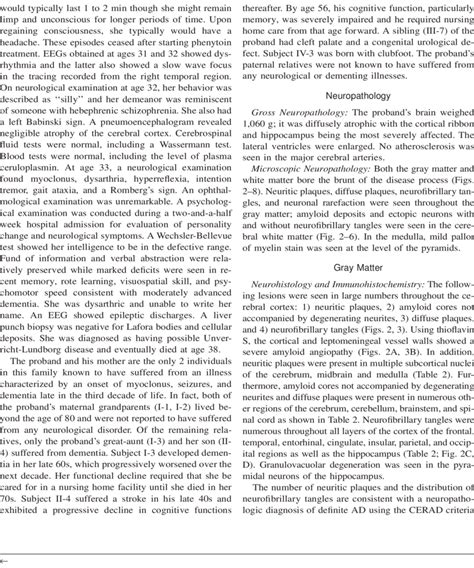 Photomicrographs Of The Upper Layers Of The Temporal Cortex A Download Scientific Diagram