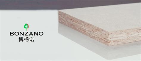 东莞市雄狮木业有限公司