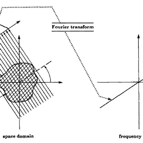 6 Illustration Of The Fourier Slice Theorem The Fourier Transform Of Download Scientific