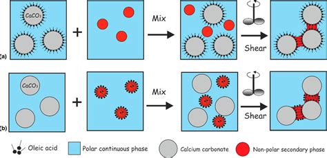 Structure Of Capillary Suspensions And Their Versatile Applications In The Creation Of Smart