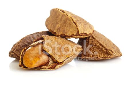 흰 배경에 고립 된 브라질 너트 스톡 사진 Freeimages