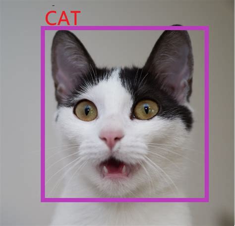 installing tensorflow object detection api on windows