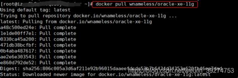 在linux服务器上利用docker安装oracle并用navicat连接navicat 链接 Linux部署的oracle Csdn博客