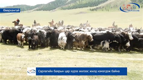 Сарлагийн баярын цар хүрээ жилээс жилд нэмэгдэж байна Youtube