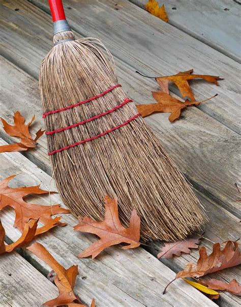 Broom Types