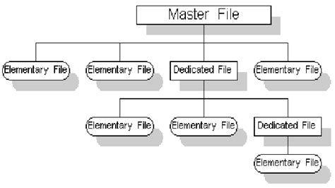 Logical File Structure Of Smart Card Download Scientific Diagram