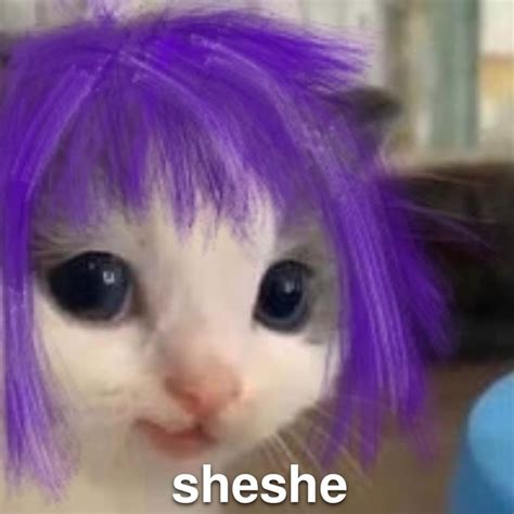 Feminist Hehe Cat 9gag