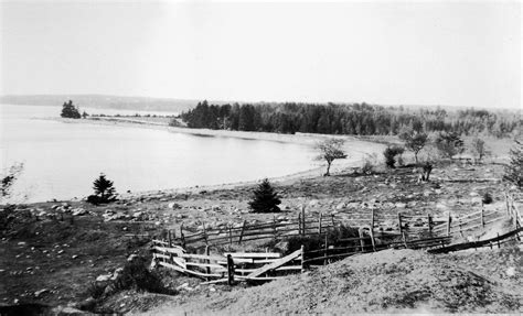 The History Of The Oak Island Money Pit Oak Island Treasure
