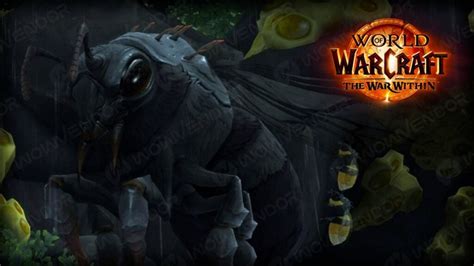 Optimize Your Wow Ui Best Elvui Profiles For Dragonflight Wowvendor