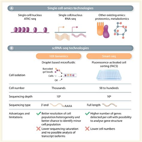 Overview Of Single Cell Omics Techonologies And Characteristics Of The Download Scientific